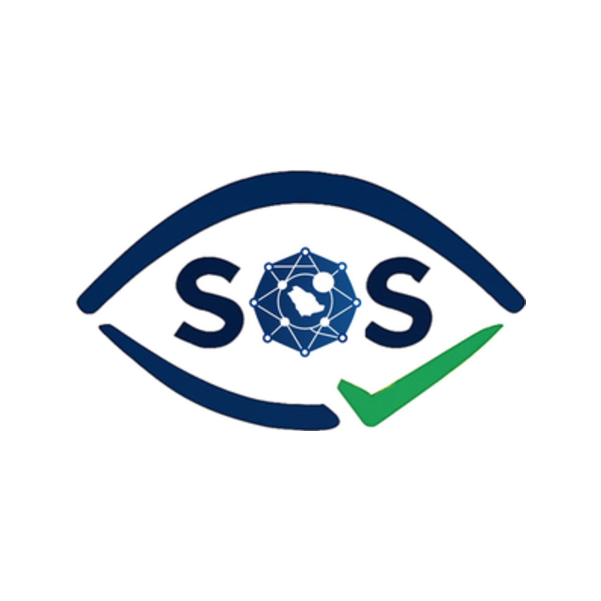 Smart Oversight Solutions | Digital Transformation & Smart Governance